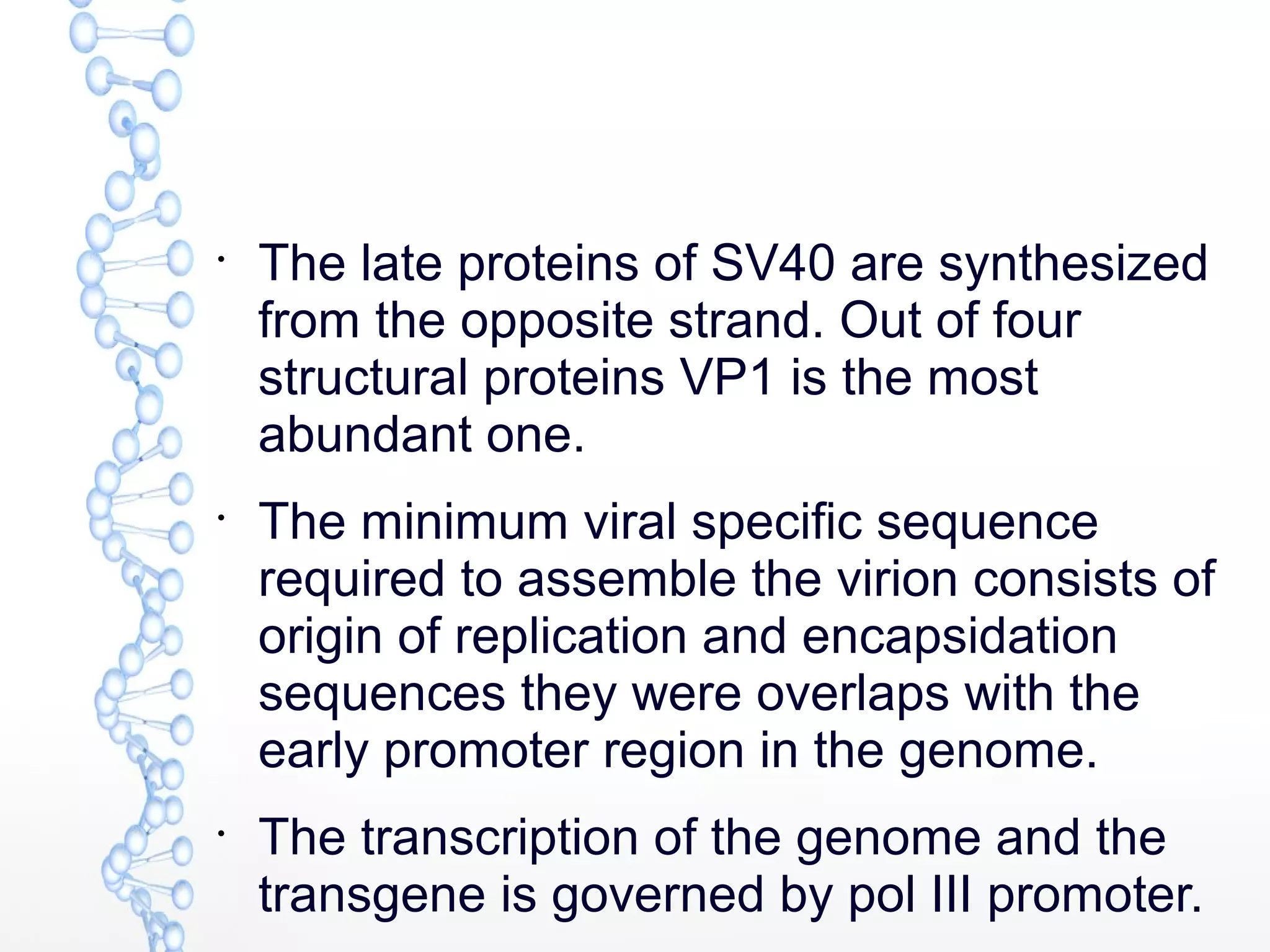 Sv40 virus | PPT