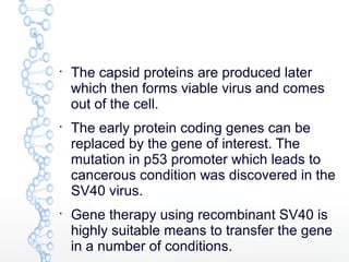 Sv40 virus | PPT