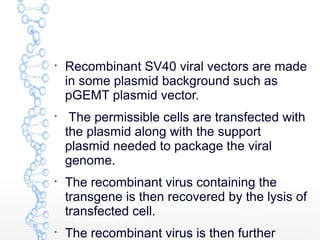 Sv40 virus | PPT