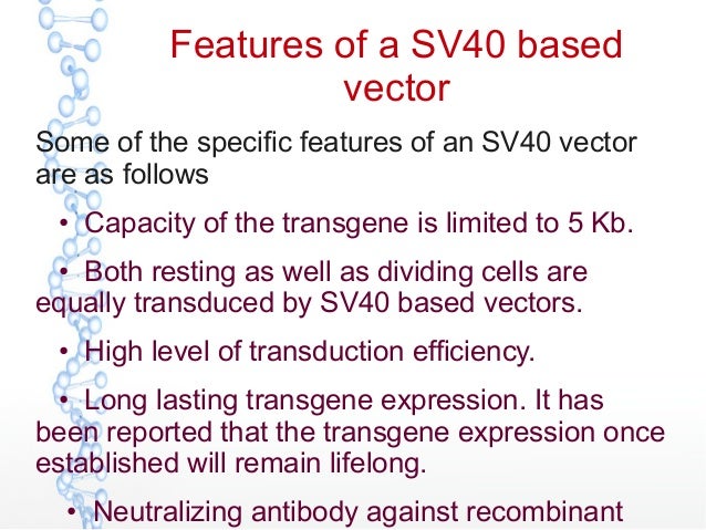 Sv40 virus