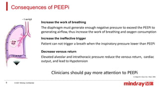 SV70 PEEPi monitoring whitepaper-EN-V1.0-20230320.pptx