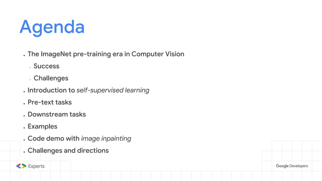 Transfer Learning CV - Souradip and Sayak | PPT