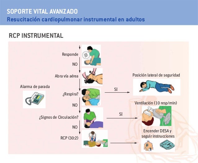 Sva 02 reanimacion cardiopulmonar adultos