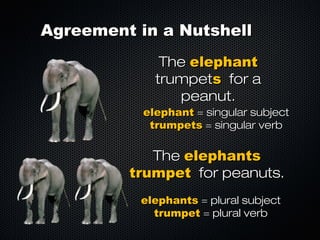 Subject Verb Agreement | PPT