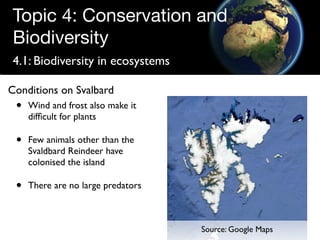 Svalbard Reindeer | PPT