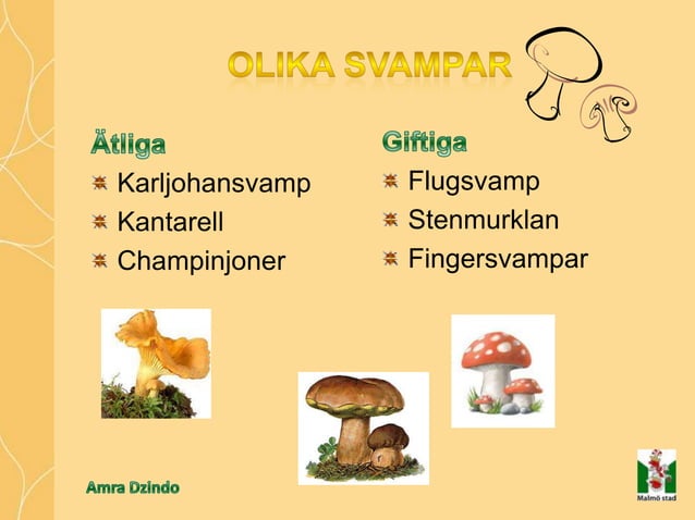 Svampar | PPTX