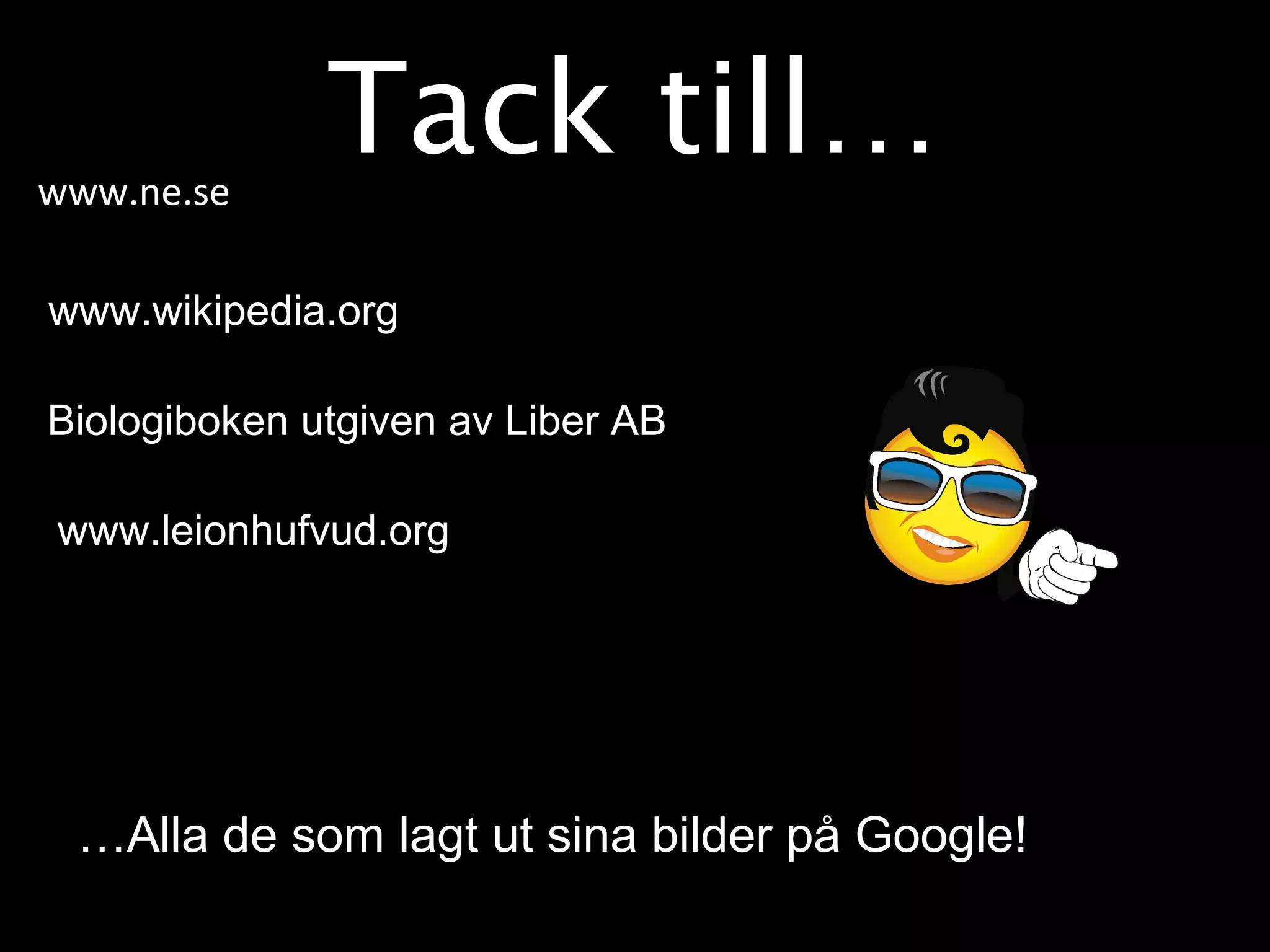 Svampdjur power point | PPT