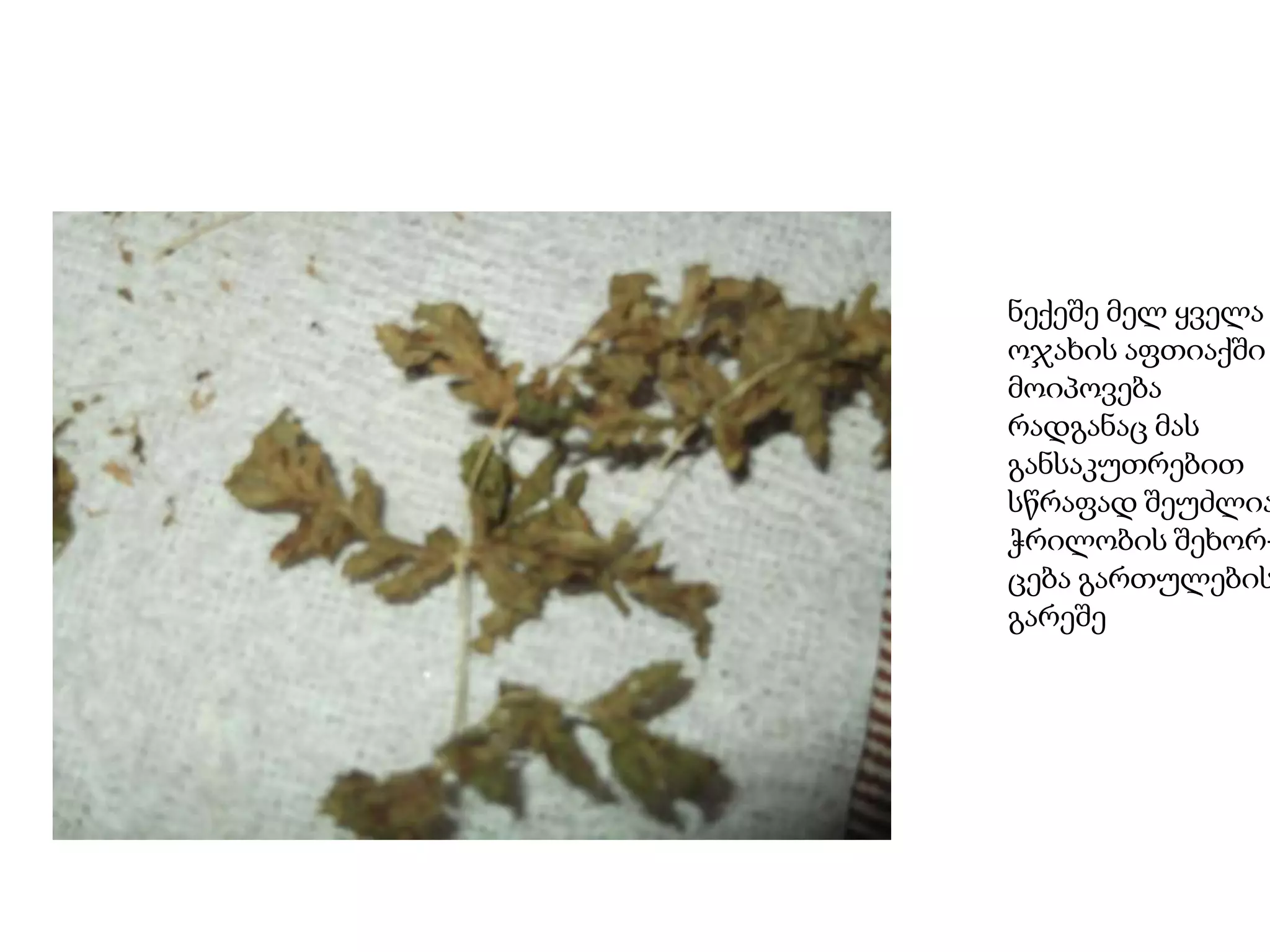 Svanuri xalxuri medicina | PPT