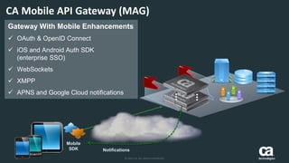 Service Virtualization + API Management together | PPT
