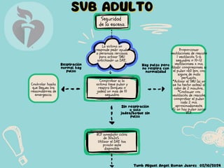 SVB adulto pediatrico y lactante AHA 2025 | PDF
