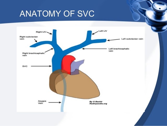 SUPERIOR VENA CAVA SYNDROME & PANCOAST SYNDROME