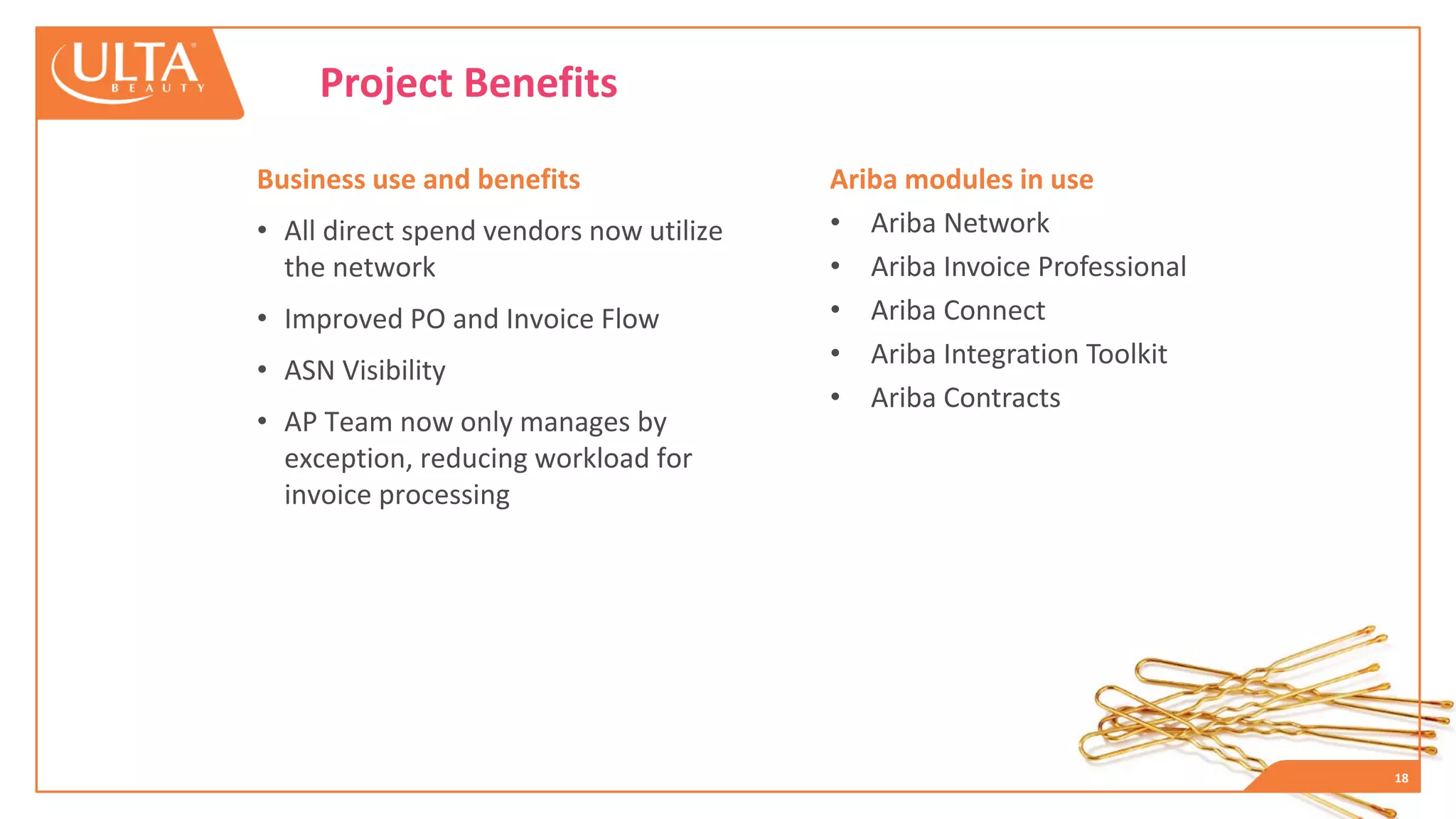 SAP Ariba Solution Implementation: A Customer Panel | PDF