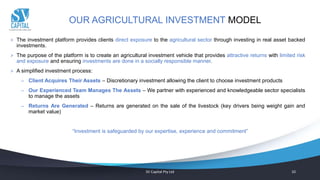 Sv capital presentation | PPT