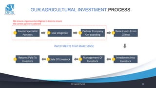 Sv capital presentation | PPT