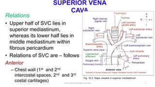 ANATOMT OF SVC & AZYGOS SYSTEM AND APPLIED ASPECTSppt | PPT