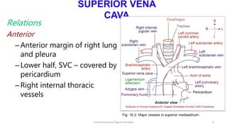ANATOMT OF SVC & AZYGOS SYSTEM AND APPLIED ASPECTSppt | PPT