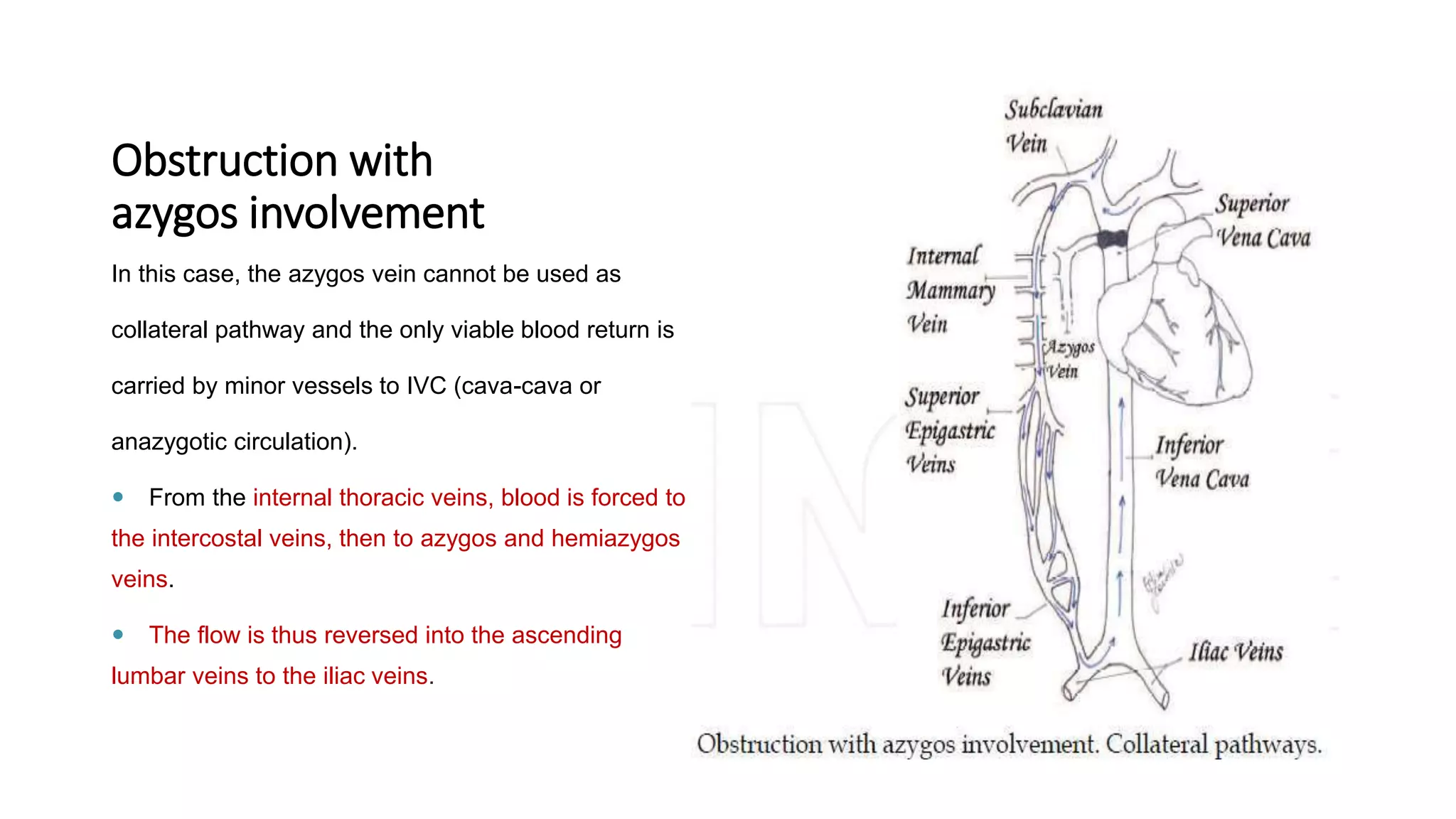 supra vena cava obstruction (SVCO) | PPTX