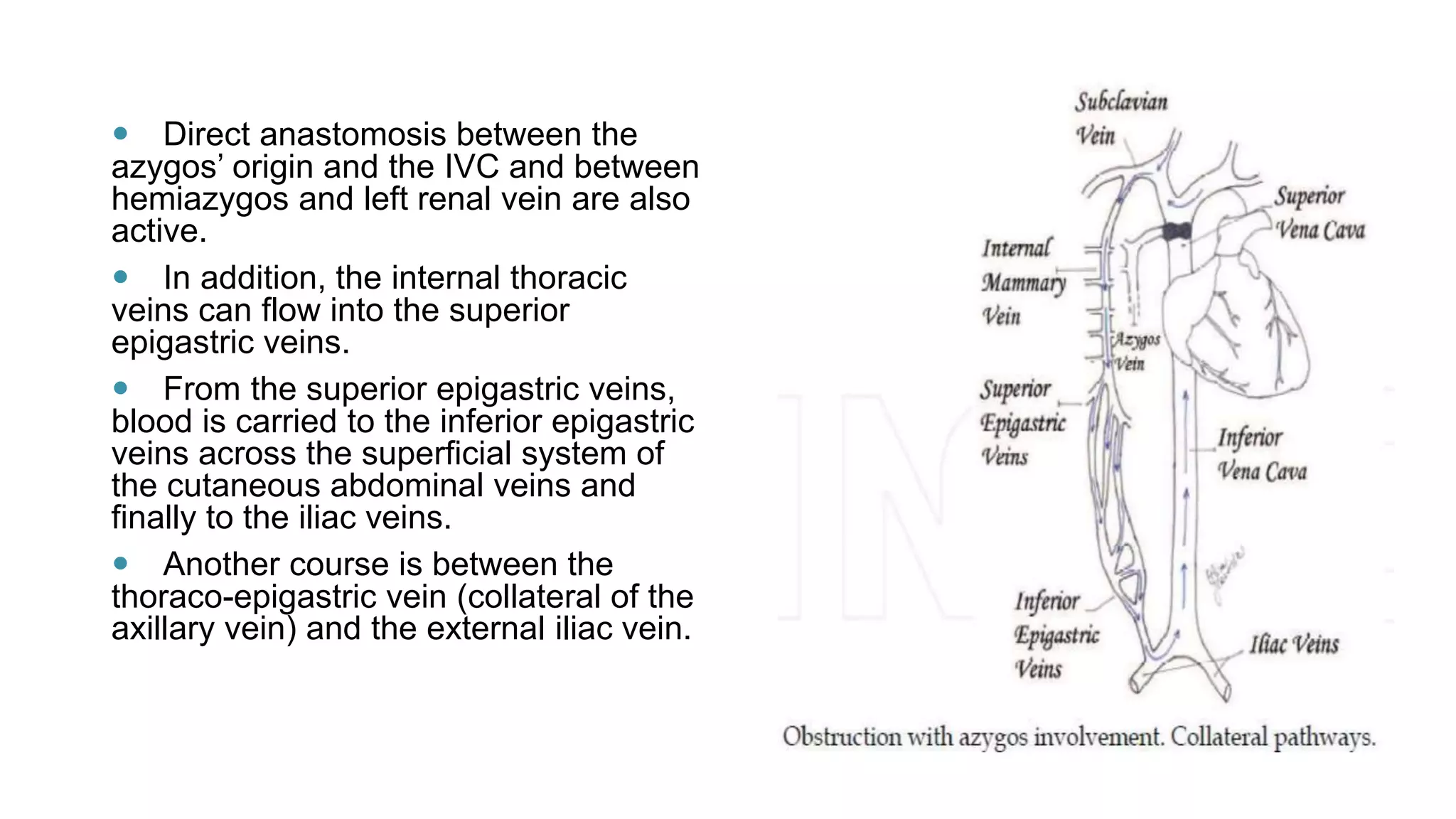 supra vena cava obstruction (SVCO) | PPTX