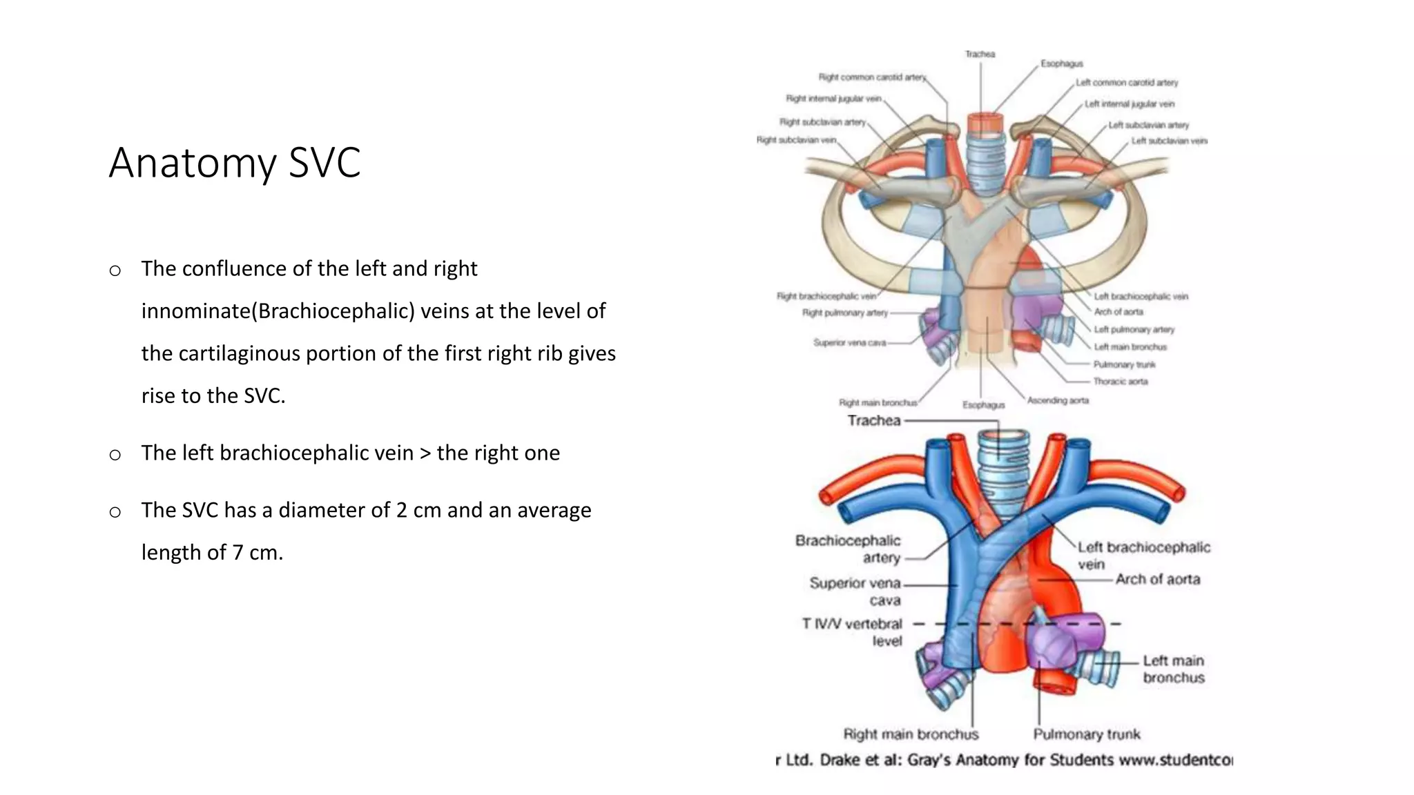 supra vena cava obstruction (SVCO) | PPTX