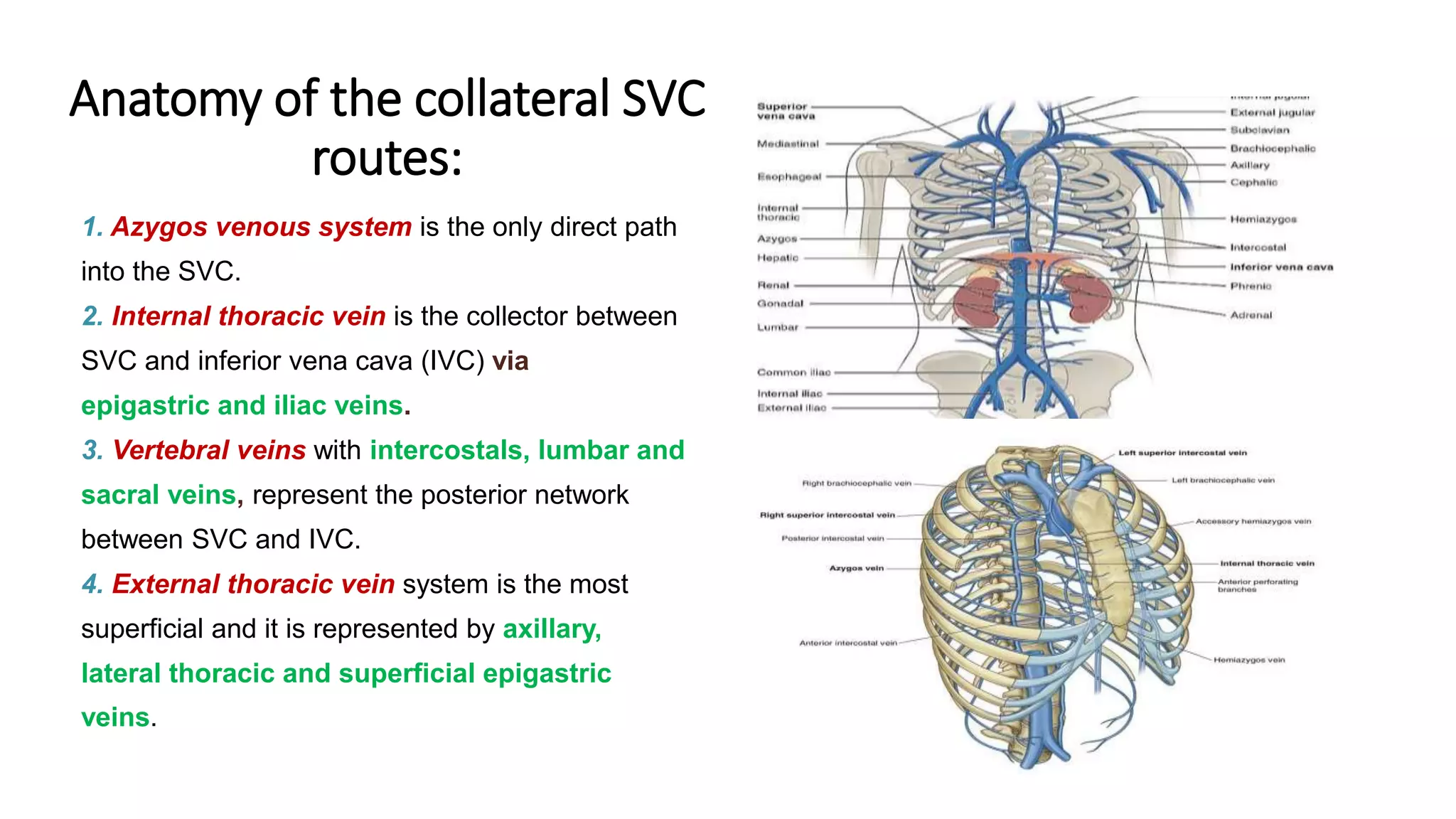 supra vena cava obstruction (SVCO) | PPTX