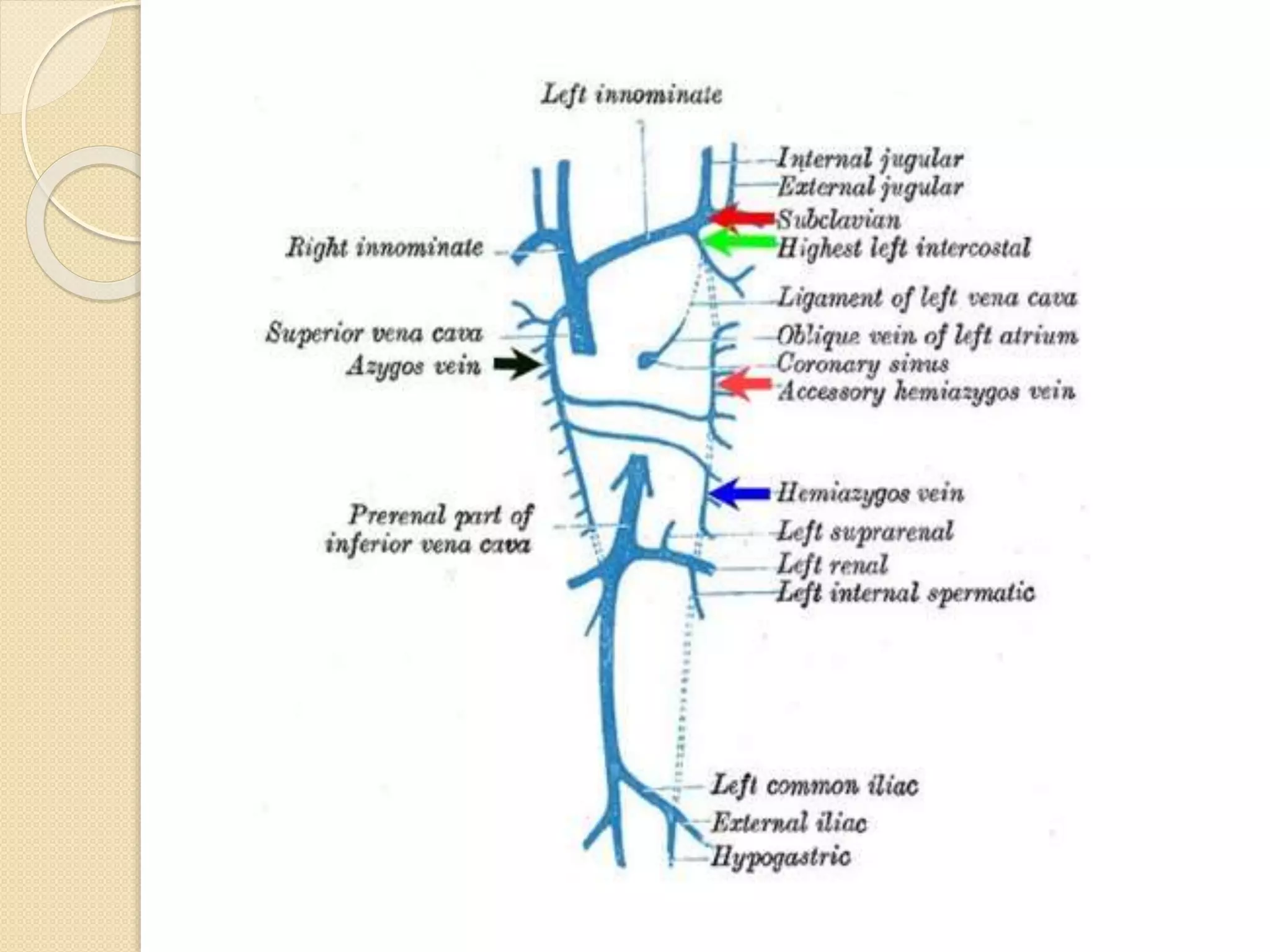 Svc obstruction | PPTX