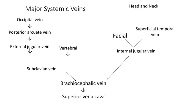 SVC syndrome | PPT