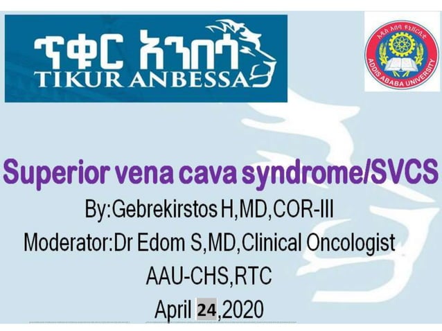 management of superior vena cava syndrome,SVCS | PPTX | Heart and ...