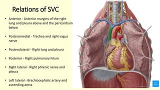 SVC syndrome - a surgical perspective | PPTX