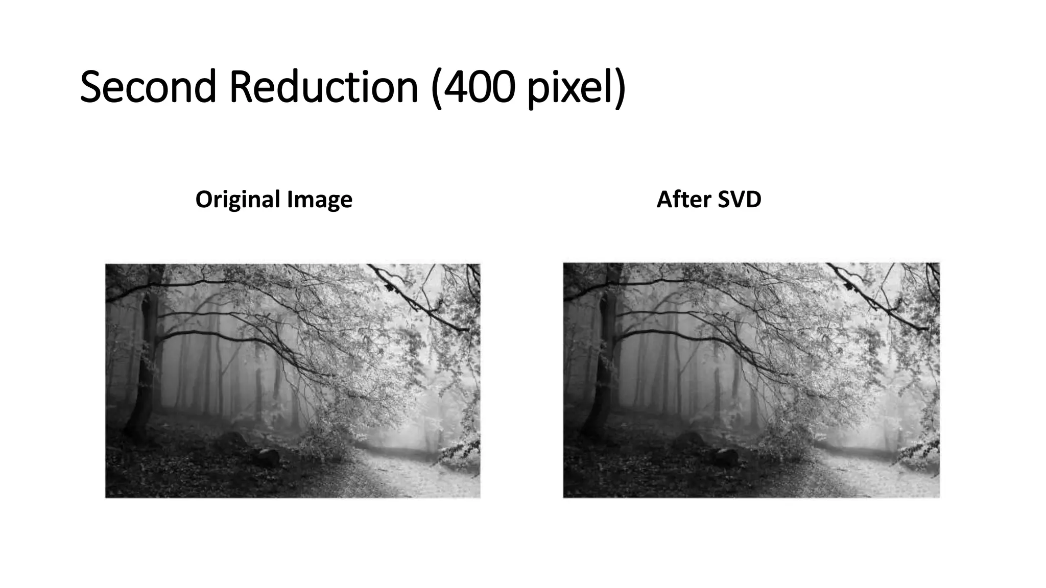 The Singular Value Decomposition theroy + example | PPTX