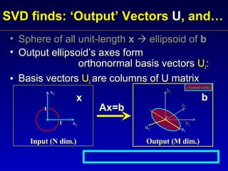 SVD review | PPT | Physics | Science