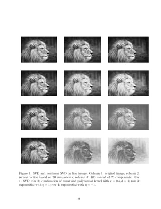 svd15_86.pdf for SVD study and revosited | PDF