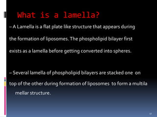 Liposomes by Dr. S. V. Deshmane | PPTX | Physics | Science