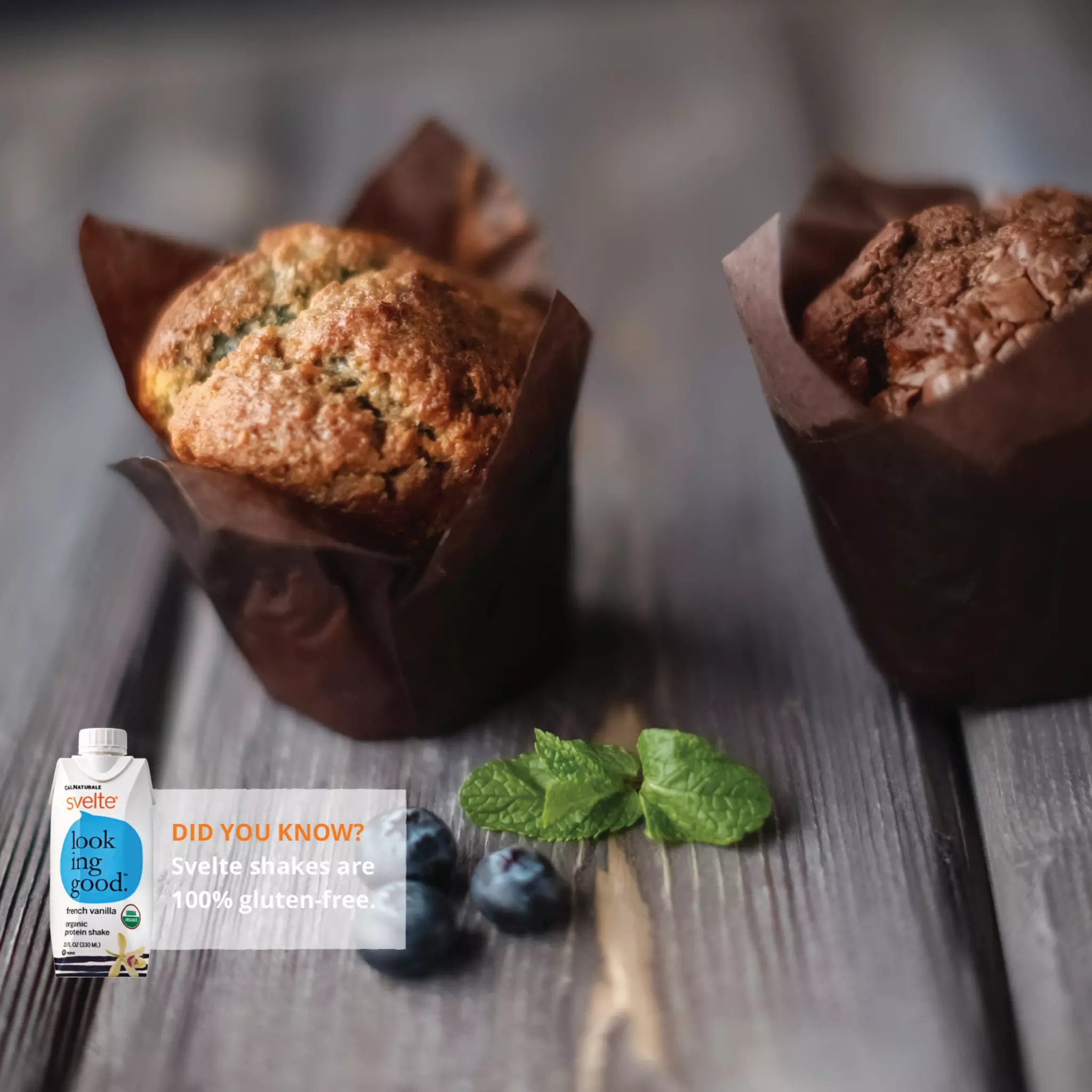 Svelte Cookbook | PDF