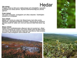 Svenska Naturtyper | PPT