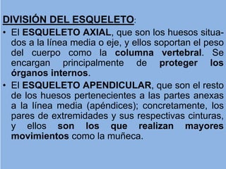 Generalidades - Esqueleto_Humano | PPTX