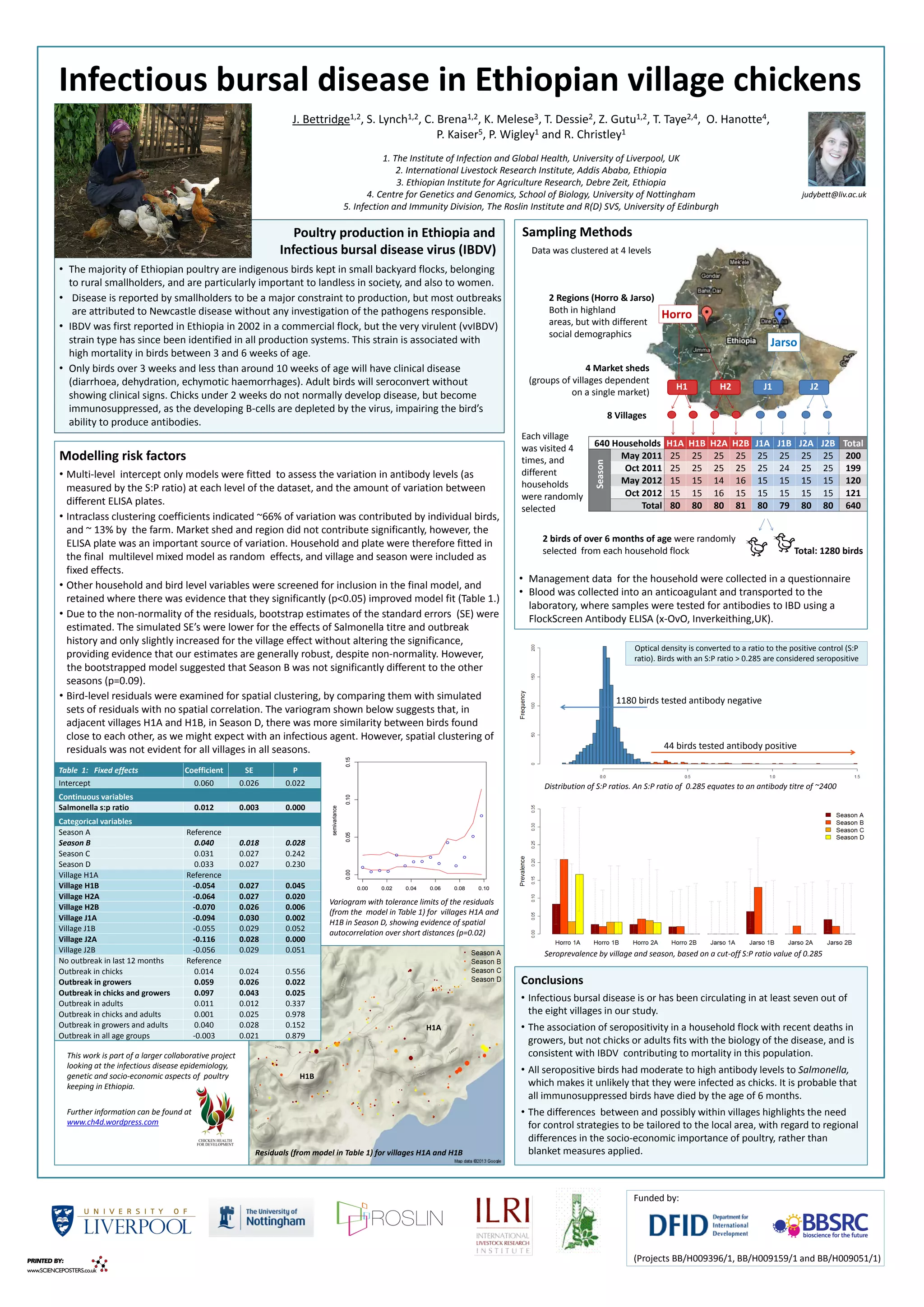 Infectious bursal disease in Ethiopian village chickens | PPT