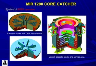 Key Features of MIR.1200 (AES-2006) design and current stage of ...