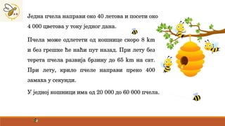 Svetski dan pcela | PPT