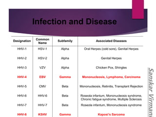Herpesviridae Presentation | PPT