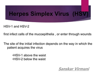 Herpesviridae Presentation | PPT
