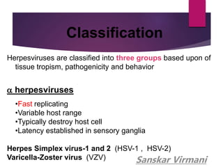 Herpesviridae Presentation | PPT