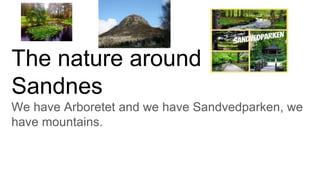 Sviland skule 2024.pptx