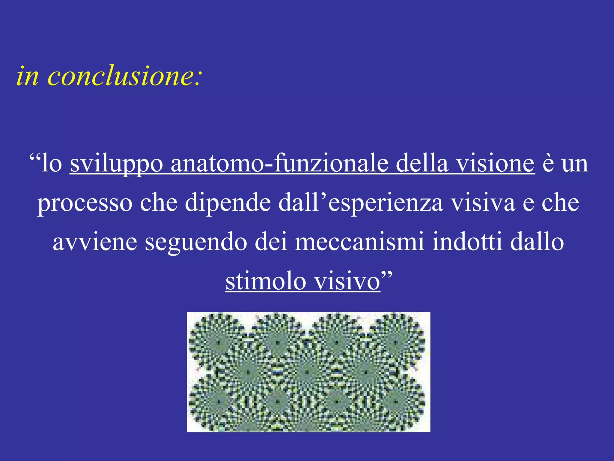Sviluppo sistema visivo | PPT