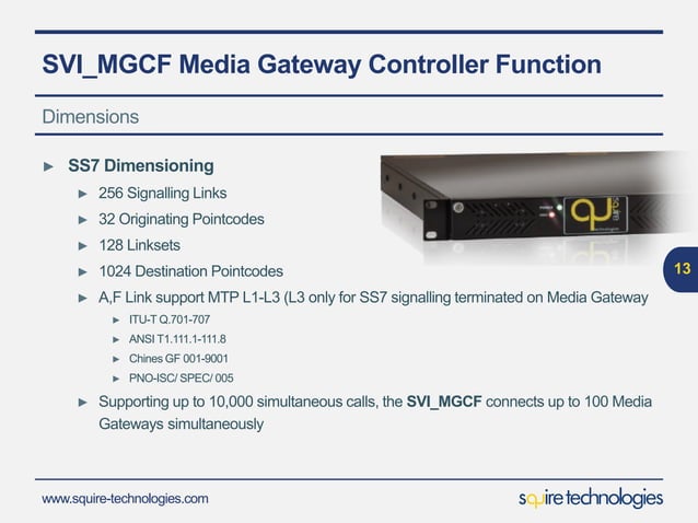 Squire Technologies: Media Gateway Controller Function | PDF