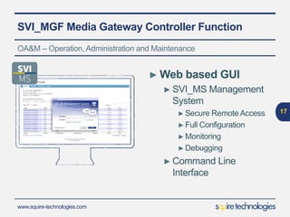 Squire Technologies: Media Gateway Controller Function | PDF