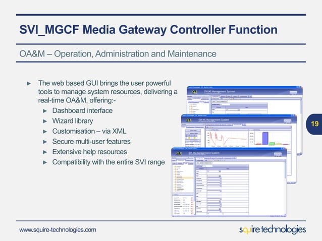 Squire Technologies: Media Gateway Controller Function | PDF