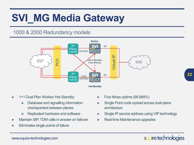 Squire Technologies: Media Gateway Controller Function | PDF