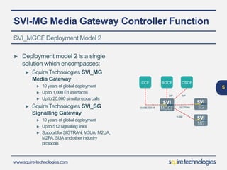 Squire Technologies: Media Gateway Controller Function | PDF