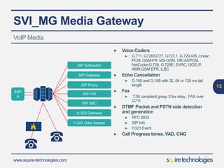 Squire Technologies: Media Gateway | PPT