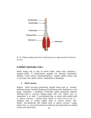 Svi misici | PPT